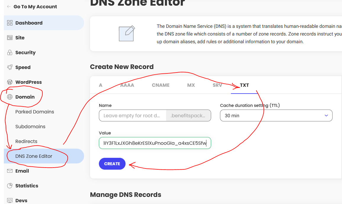 Add Txt Record In Siteground External Domain Scd Information Technology